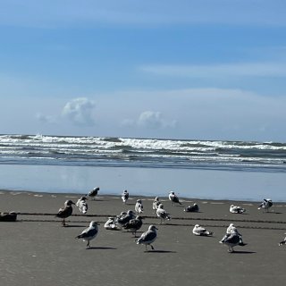 Ocean City RV Resort - Ocean City, Washington - RV LIFE Campground Reviews